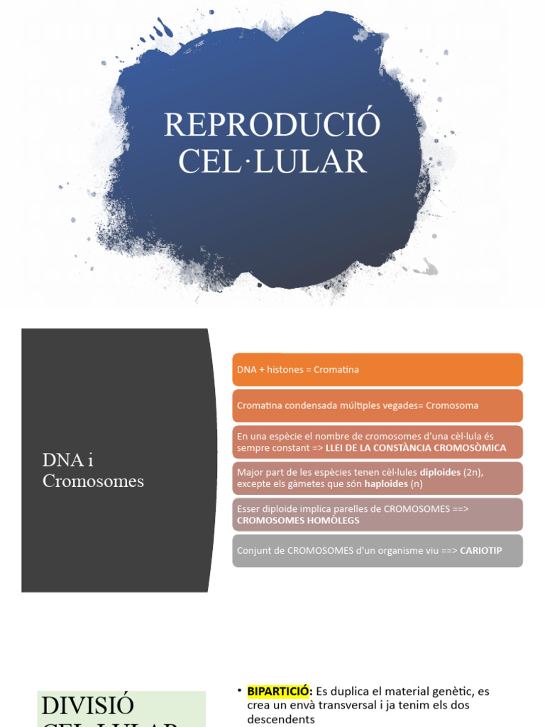 Reproducció Cel Lular | PDF