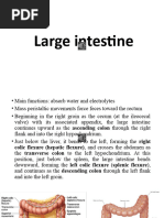 Sigmoid Colon Length and Anatomy | PDF | Large Intestine | Rectum