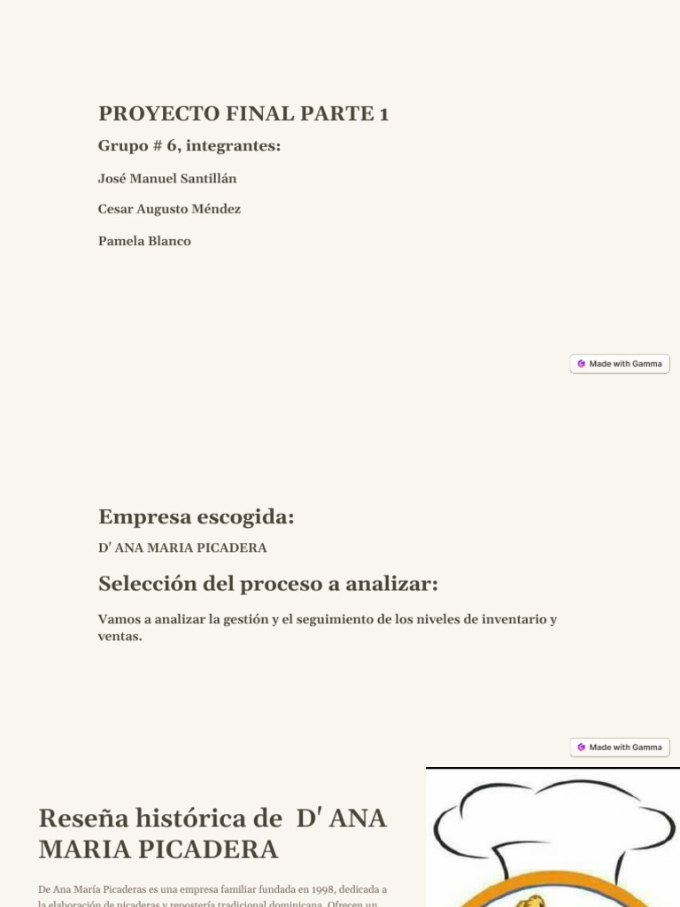 Proyecto Final Parte 1 | PDF | Business | Software