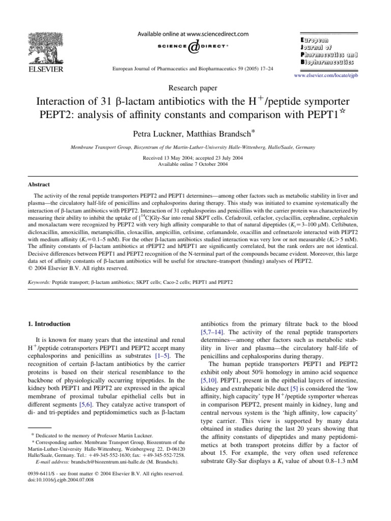 Interaction of 31 B-Lactam Antibiotics With The HCpeptide Symporter ...