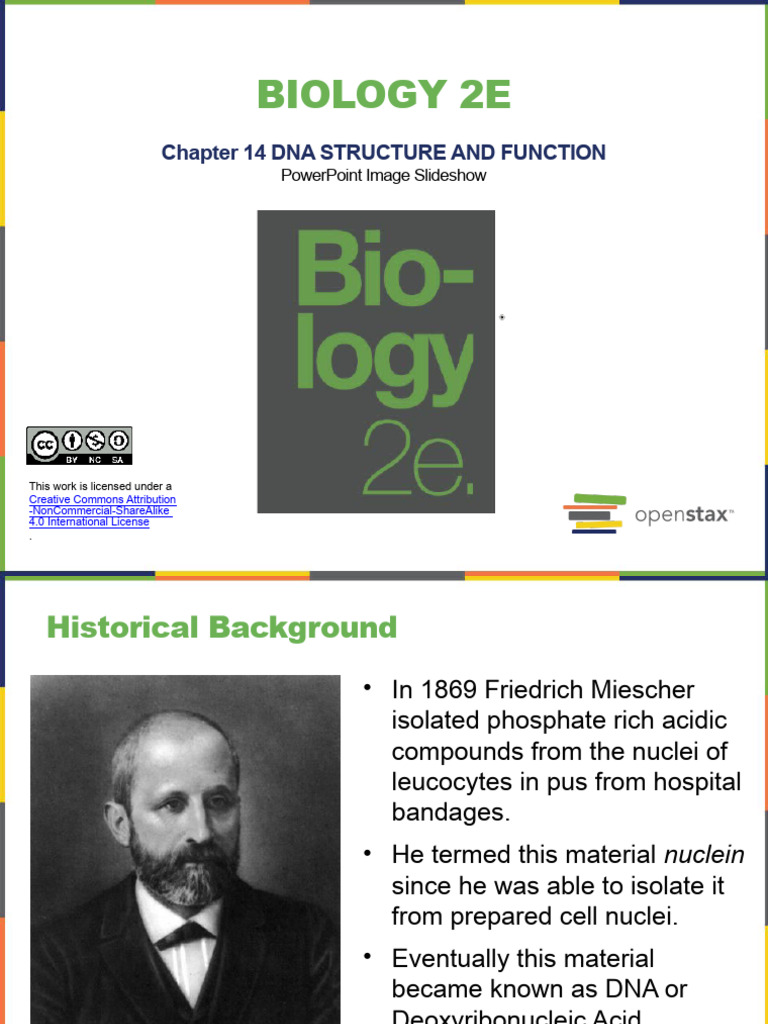 Unit 14 Ppt Slides Download Free Pdf Dna Dna Replication