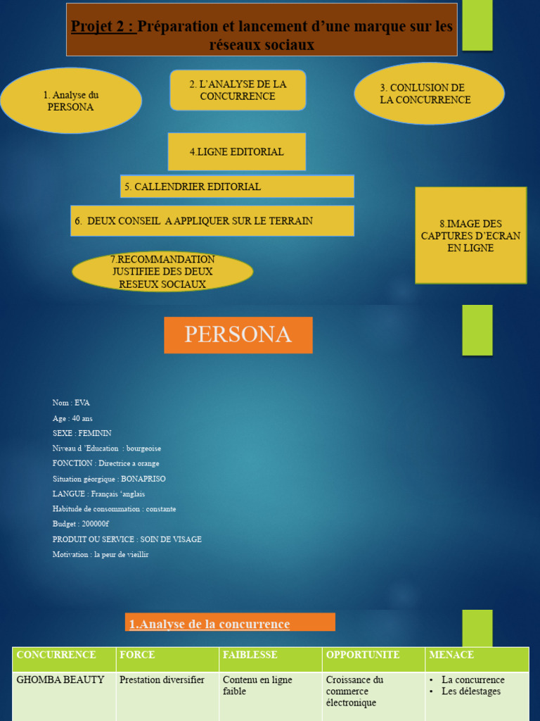 Soutenance Projet 2 | PDF | Sciences sociales