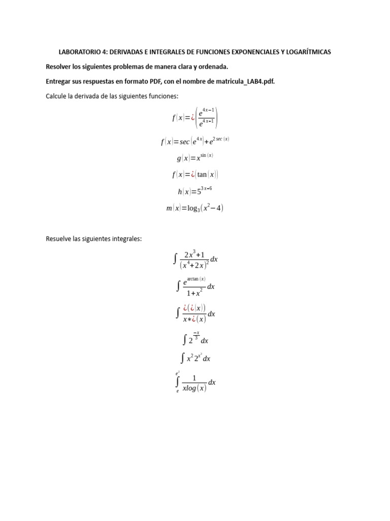 Derivadas e Integrales Exp/Log | PDF | Métodos y materiales de enseñanza | Informática
