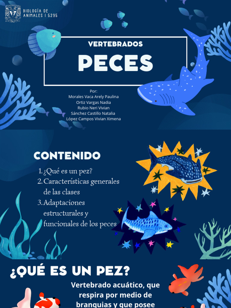 Peces - Animales 1 | PDF | Pescado | Vertebrados