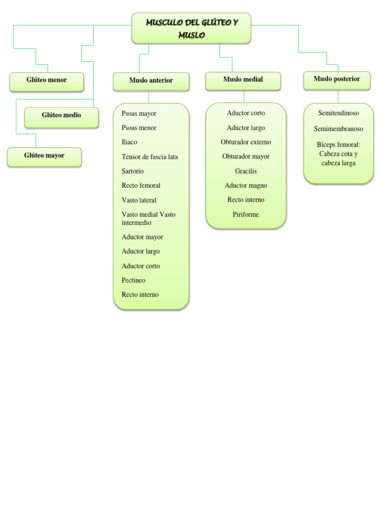 Mapa miologia MI | PDF