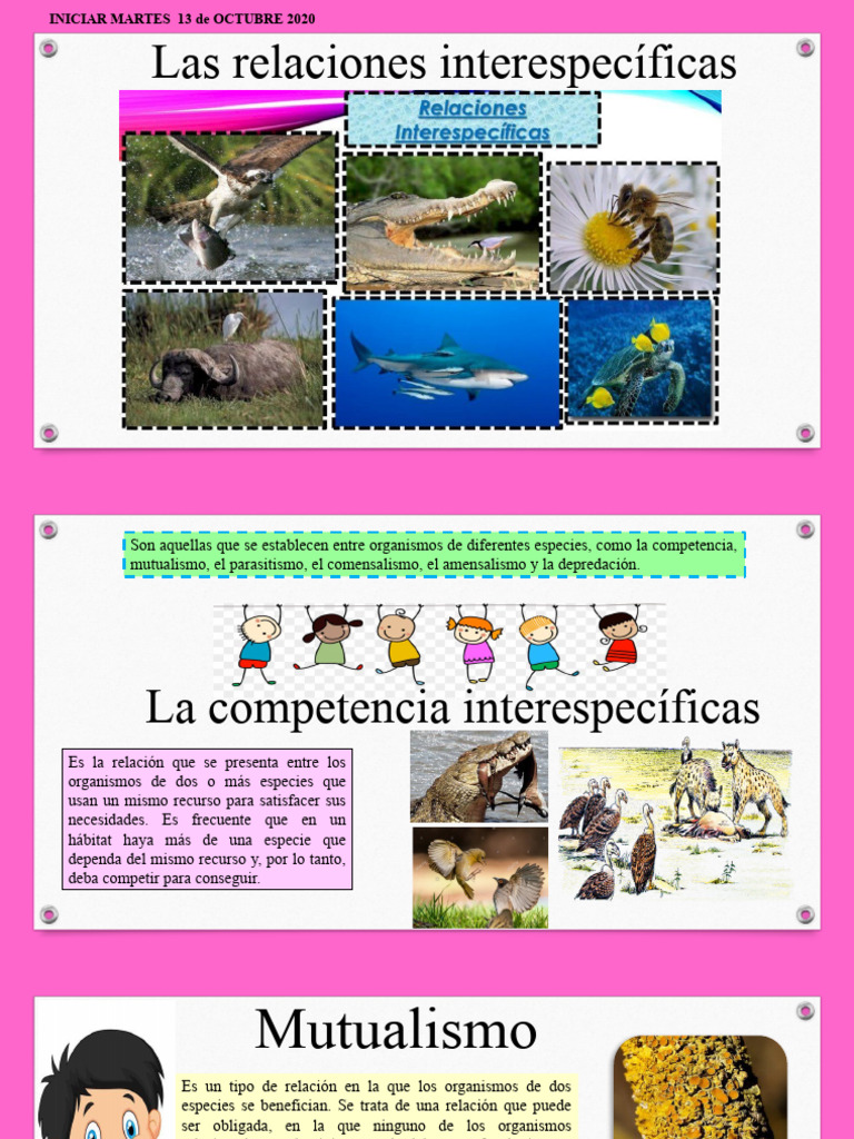Relaciones Interespecíficas en Ecosistemas | PDF | Parasitismo | Biología