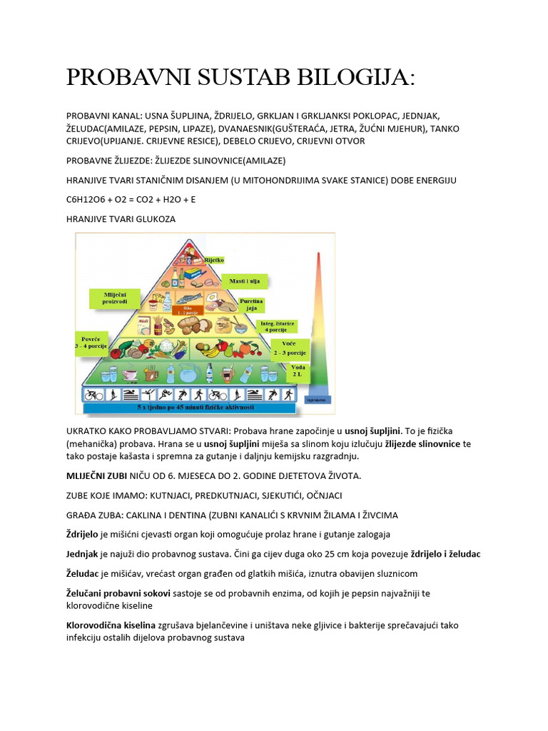 Probavni Sustab Bilogija | PDF