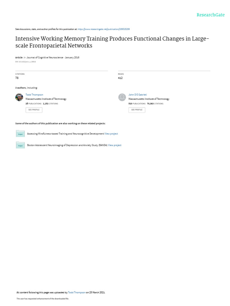 Intensive Working Memory Training Produces Functio | PDF | Working ...