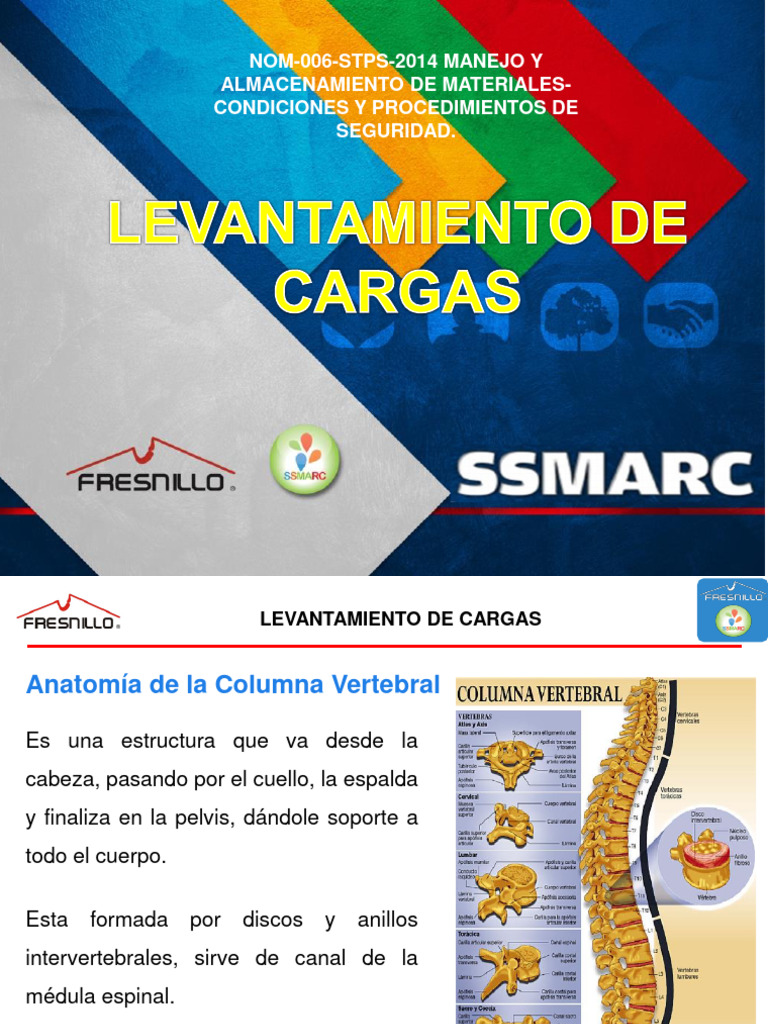 NORMA Oficial Mexicana NOM-006-STPS-2014 MANEJO Y ALMACENAMIENTO DE ... NORMA Oficial Mexicana NOM-006-STPS-2014 MANEJO Y ALMACENAMIENTO DE ...