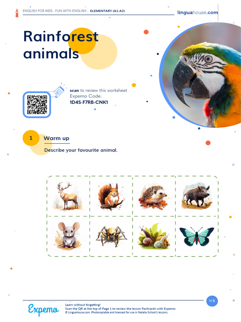 Rainforest Animals British English Teacher | PDF | Rainforest | Zoology