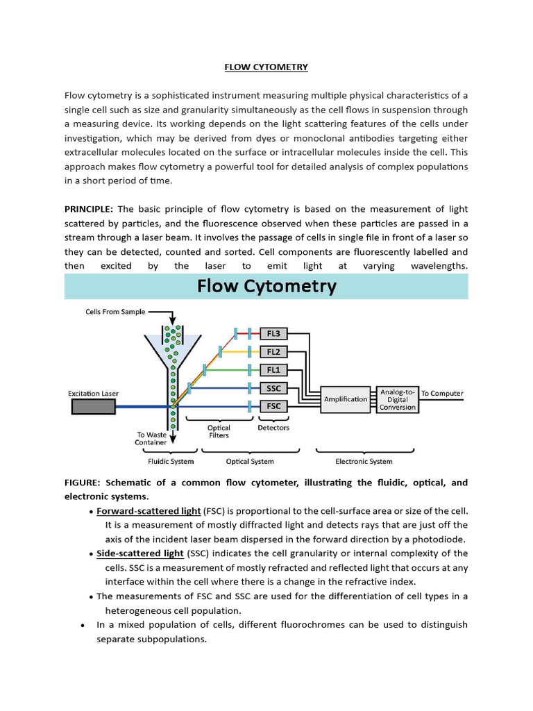 Flow Cytometry and Facs | PDF | Flow Cytometry | Biology