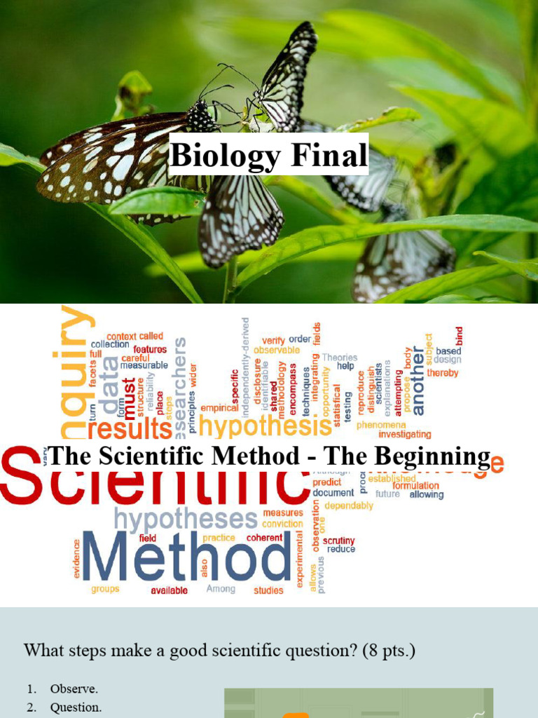 Biology Final | PDF | Sponge | Nematode