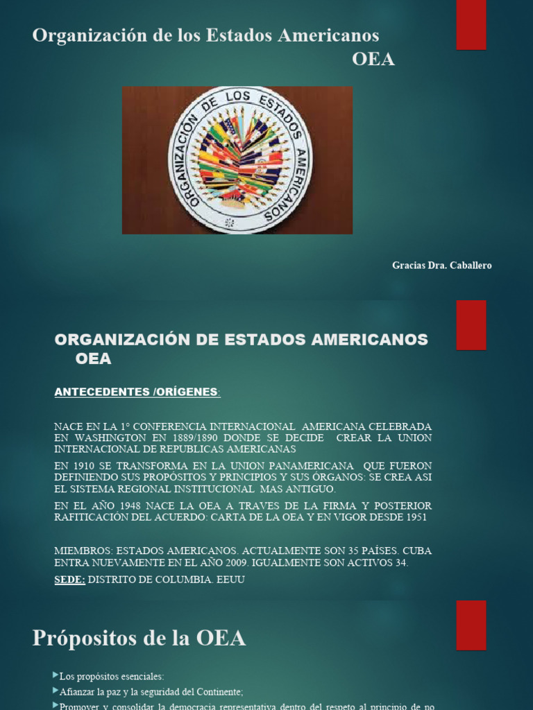Historia y Estructura de la OEA | PDF