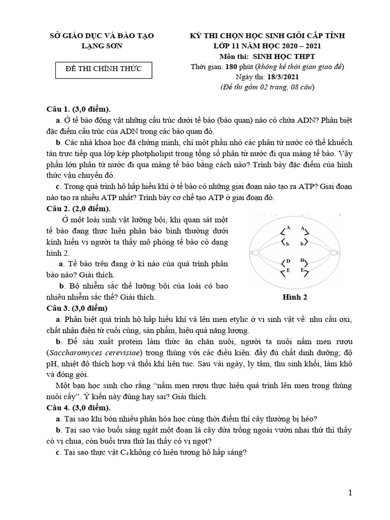 De CT - HSG - Sinh 11 THPT-2021 | PDF