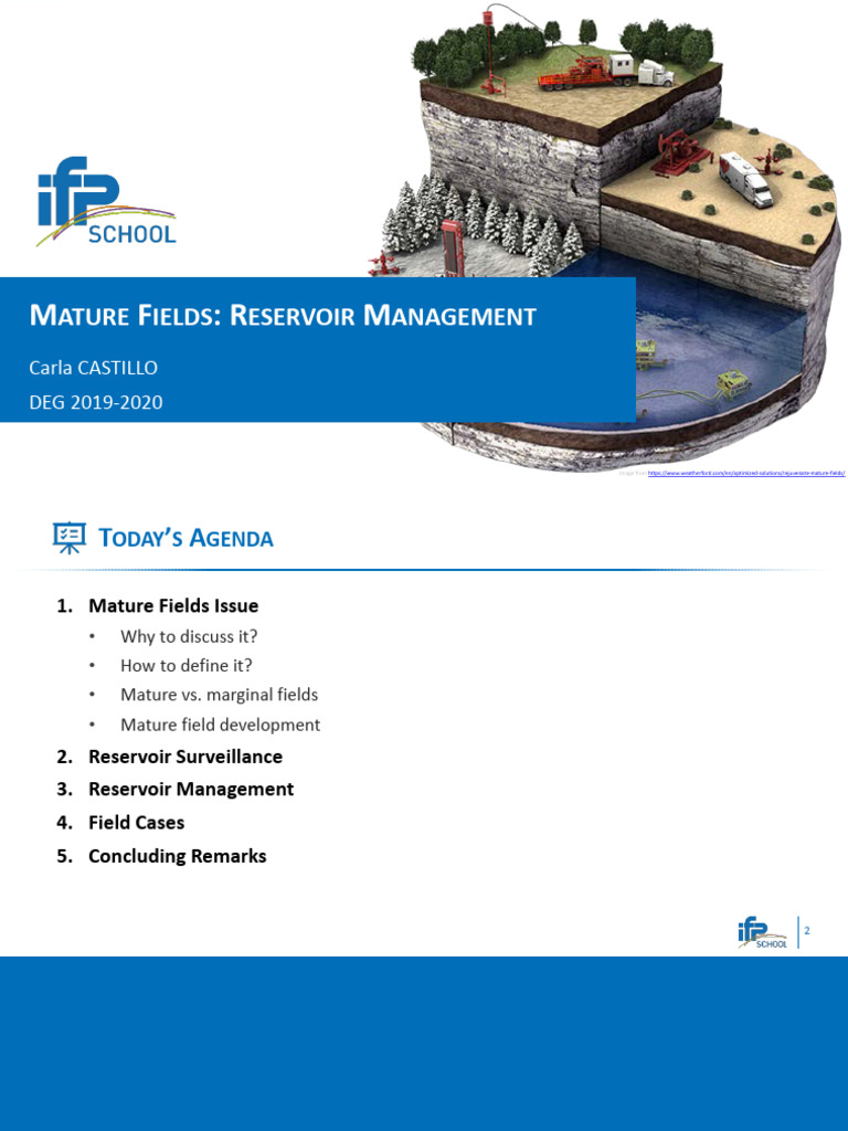 Matures Fields Reservoir 2019 | PDF | Petroleum Reservoir | Chemical ...