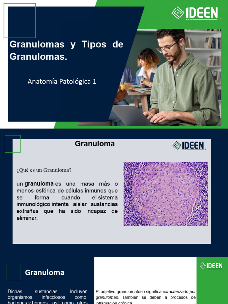 Granulomas Diapositivas | PDF | Epidemiología | Biología