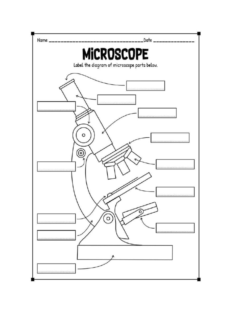 Science Laboratory Microscope Parts Worksheet (1) | PDF