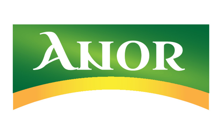 Anor Logo | PDF