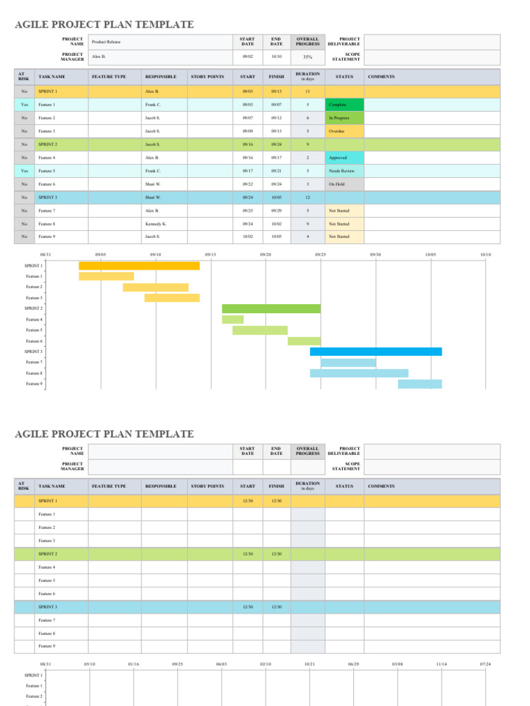 IC-Agile-Project-Plan-Template-8561 | Download Free PDF | Computing