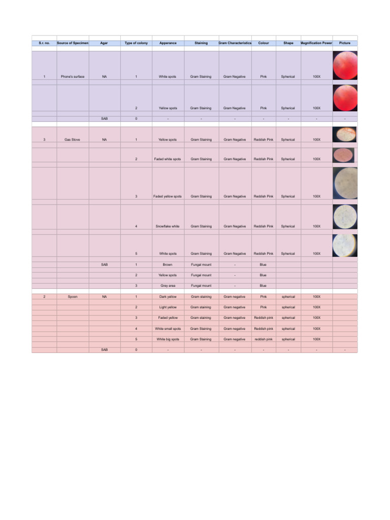Surface Swab Test | PDF | Staining