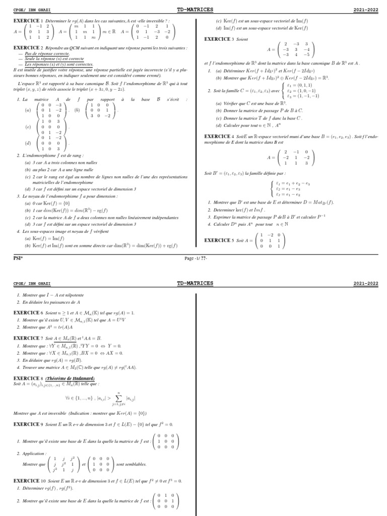 TD 1 PSI Matrices | PDF | Matrice (Mathématiques) | Analyse mathématique