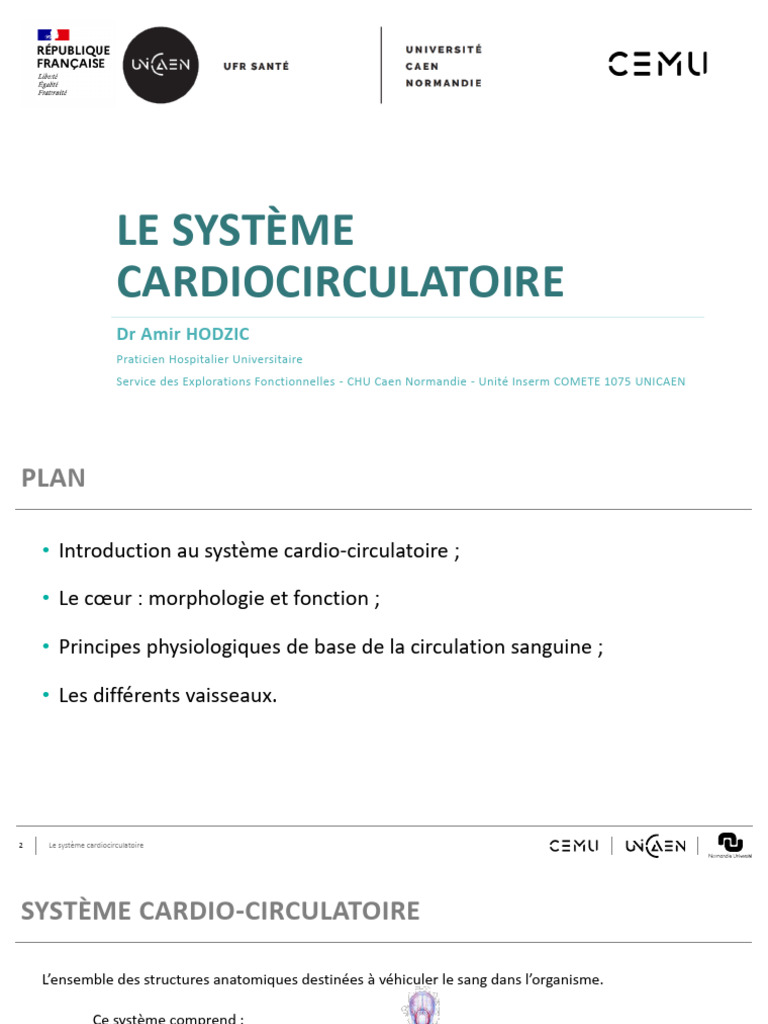 Cours Imprimable | PDF | Cœur | Vaisseau sanguin