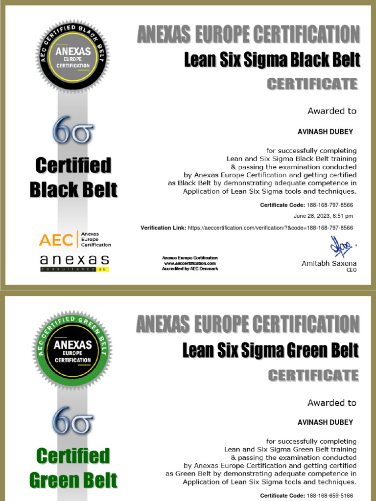 Lean Six Sigma Certificates 1688116135 | PDF