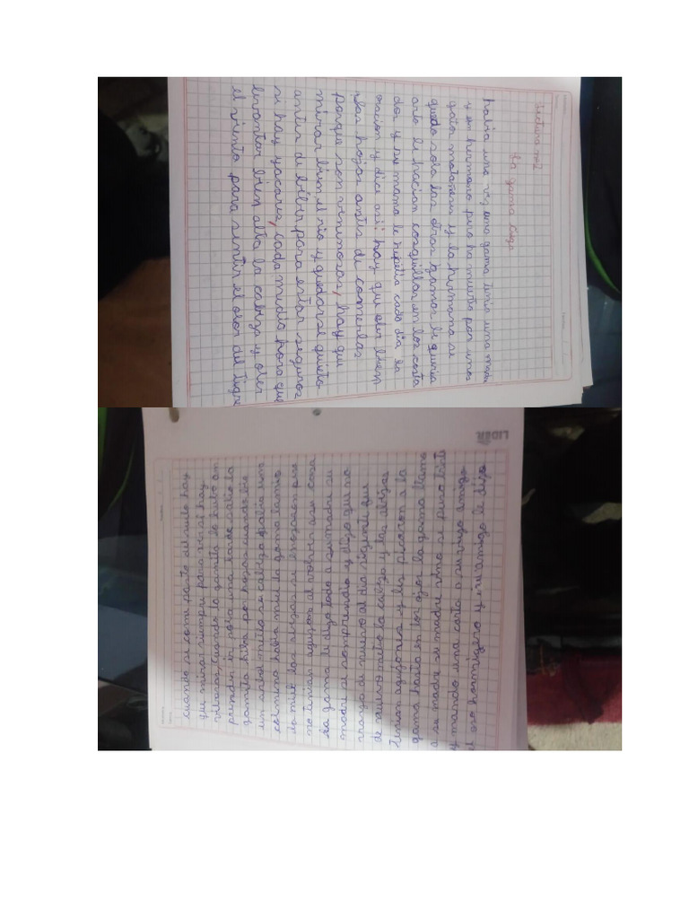 Lectura No 2 Jordan Bordan Tercer Trimestre | PDF