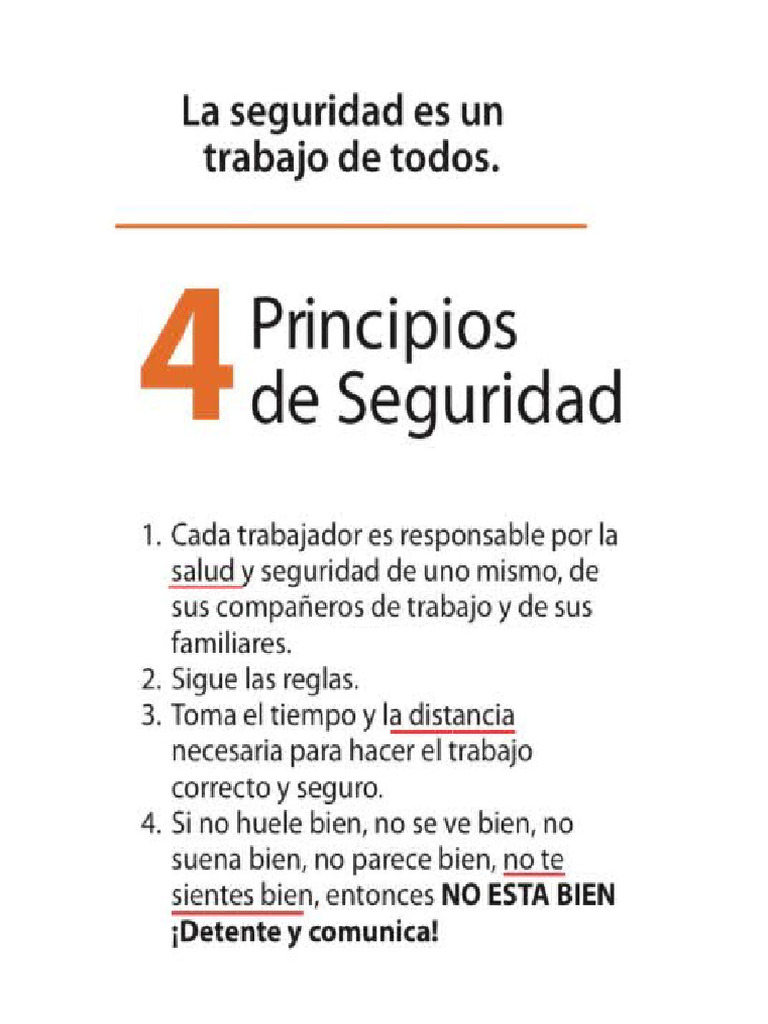 4 Principios de Seguridad 2020 | PDF