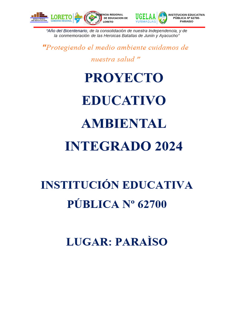 Proyecto Educativo Ambiental Integrado 62700 | PDF | Sustentabilidad | Educación de la primera ...