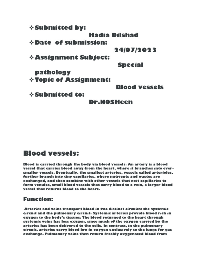 Special Pathology Assignment,Hadia Dilshad | PDF | Artery | Capillary