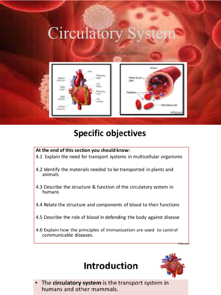 Biology - Circulatory System | PDF | Science & Mathematics