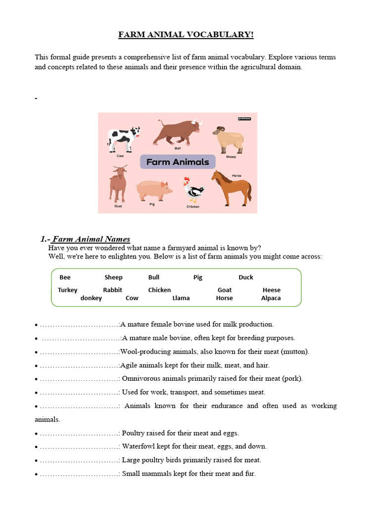 Farm Animal Vocabulary | PDF | Livestock | Poultry Farming