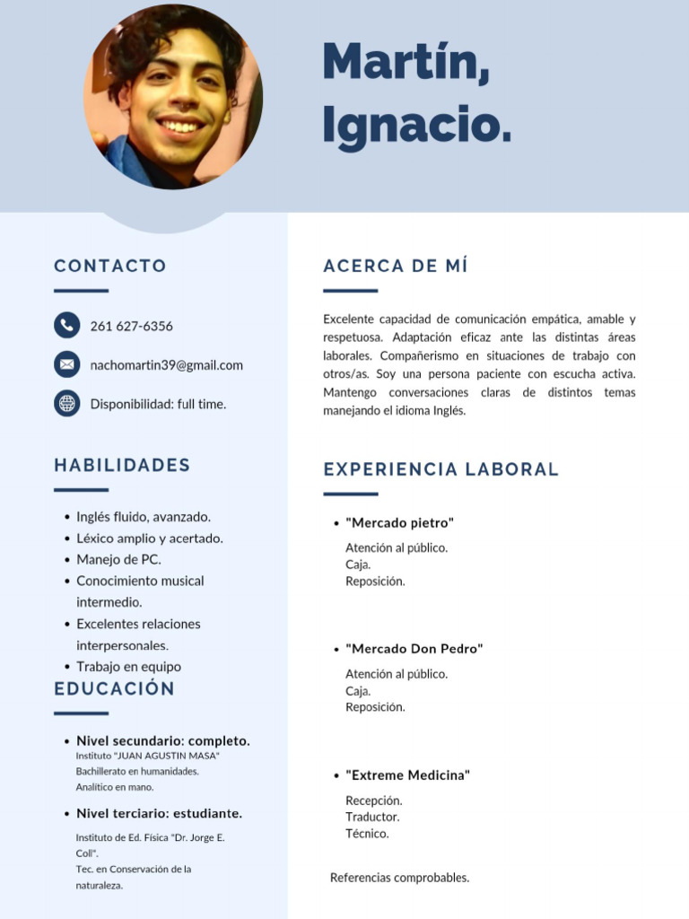 PDF CV Nacho | PDF