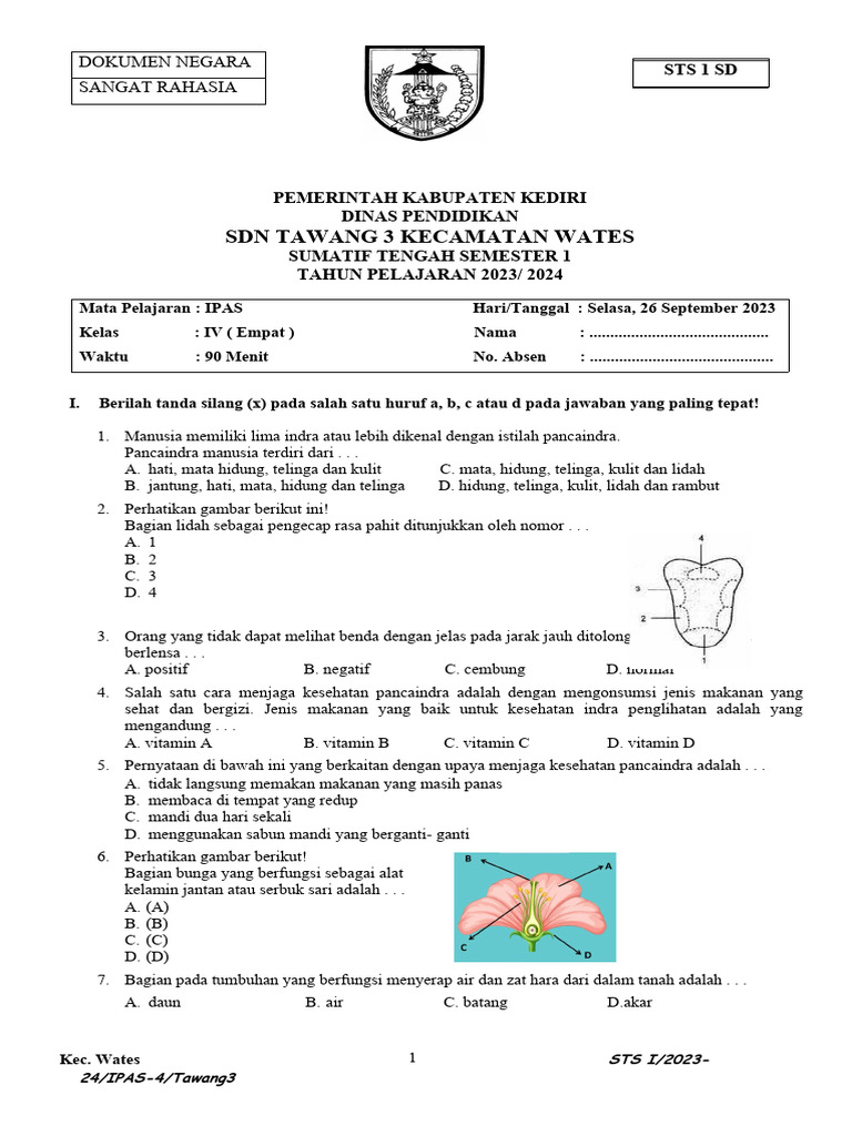 STS 1 Ipas - 4 | PDF