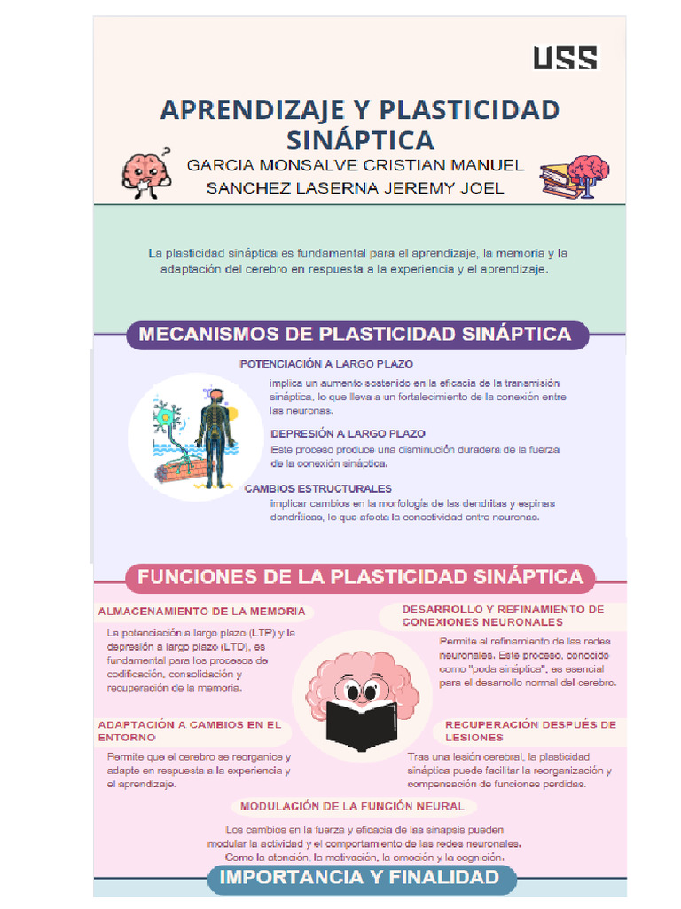 aprendizaje y plasticidad sipnaptica | PDF