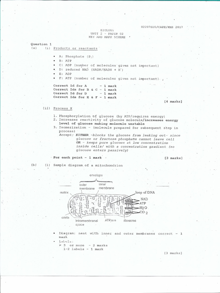 Unit 2 Mark Scheme Paper 2 of 2017 | PDF