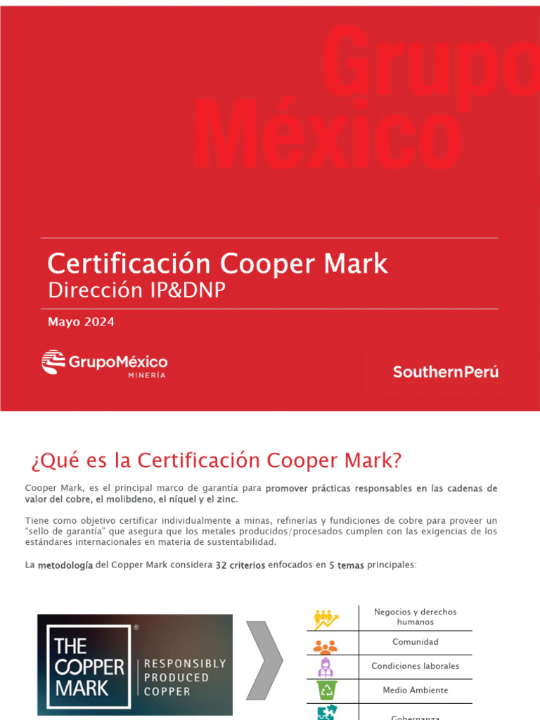 01 Cooper Mark | PDF | Sustentabilidad | Cobre