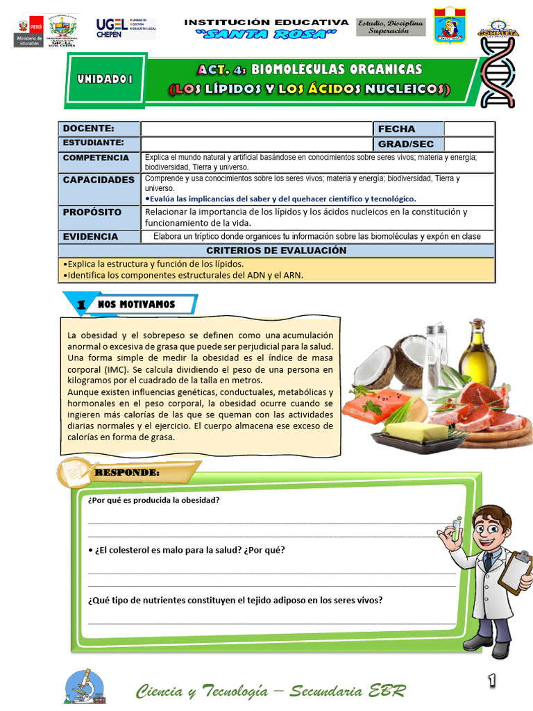 D4º Act 4-Cyt-U1 | PDF | Lípido | Rna