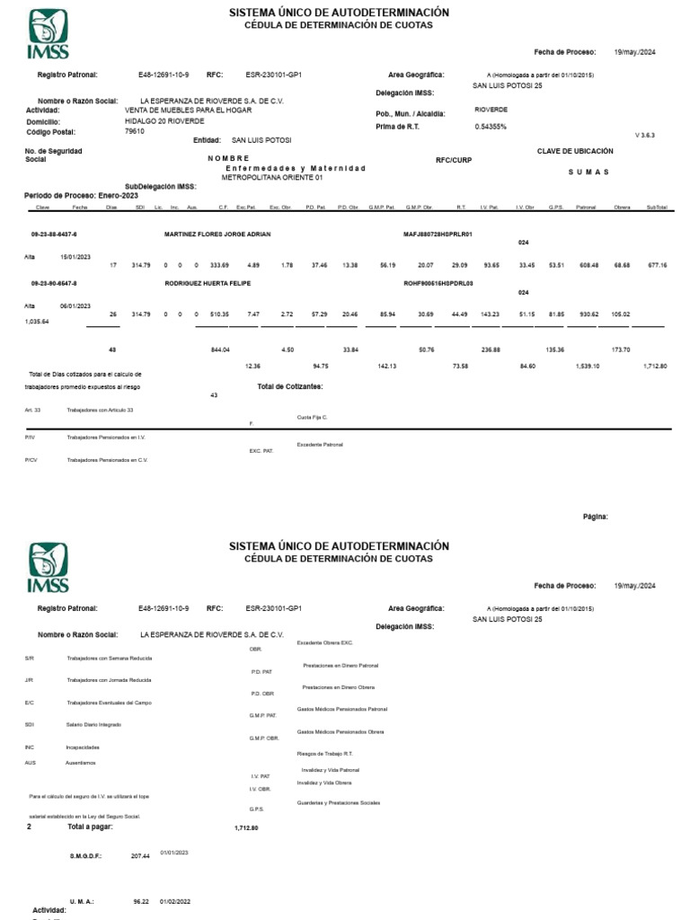 Cédula de determinación de cuotas | Descargar gratis PDF | Salario | Compensación laboral