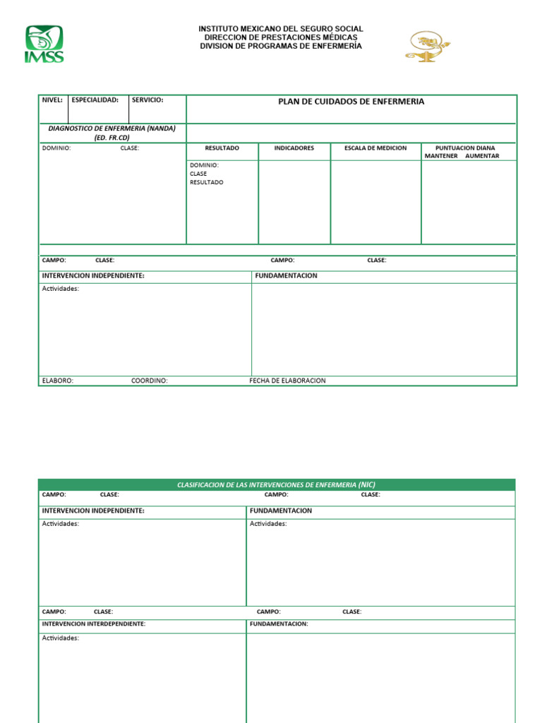 Formatos Place | PDF | Enfermería | Business
