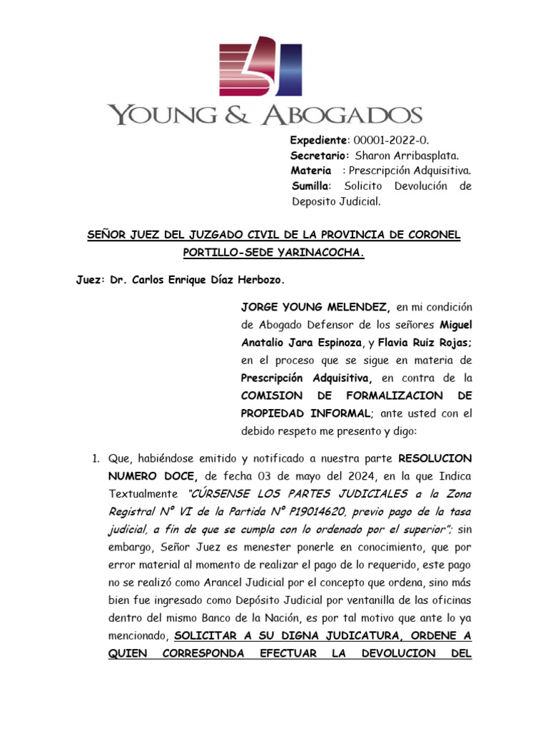 SOLICITO DEVOLUCION DE DEPEOSITO JUDICIAL Flavia | PDF | Gobierno | Justicia