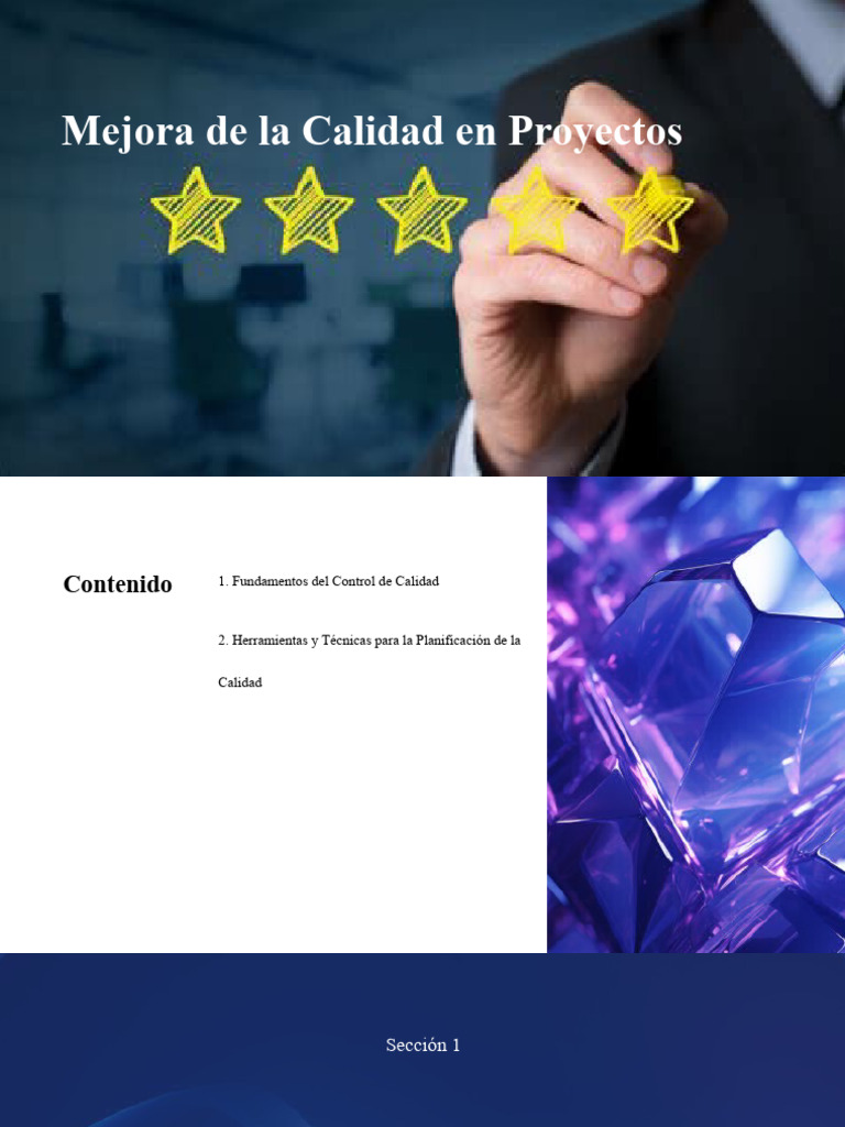 Control de Calidad en Proyectos Efectivos | PDF | Calidad (comercial ...