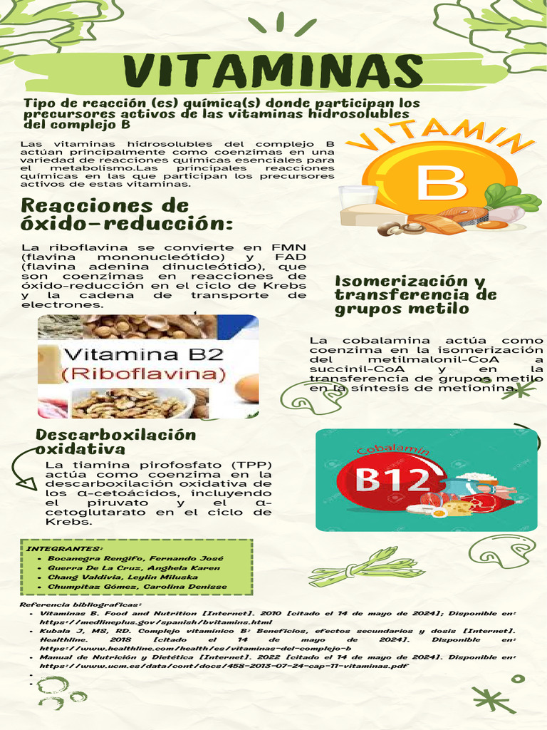 Infografia vitaminas | PDF | Vitamina | Metabolismo