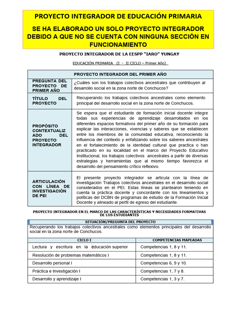 Proyecto Integrador Educación Primaria | Descargar gratis PDF | Aprendizaje | Maestros