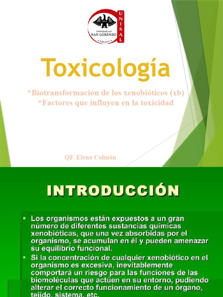 Biotransformación de XenobióTicos | PDF | Toxicidad | Medicamentos con receta