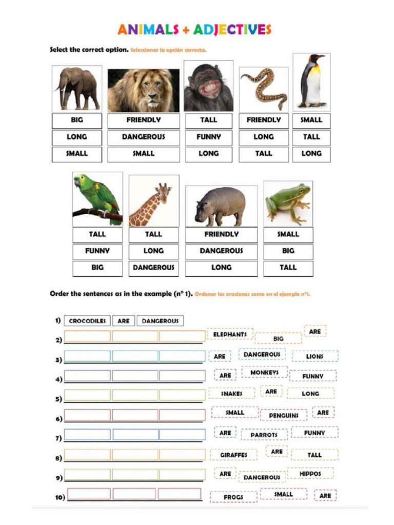 Adjectives-Animals Worksheet | PDF