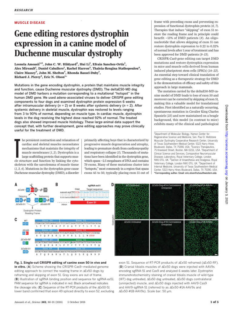 Gene Editing Restores Dystrophin Expression in A Canine Model of ...
