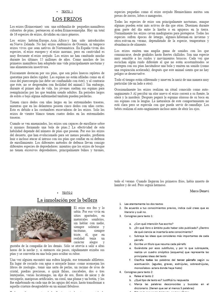 Características y Comportamiento de los Erizos | PDF