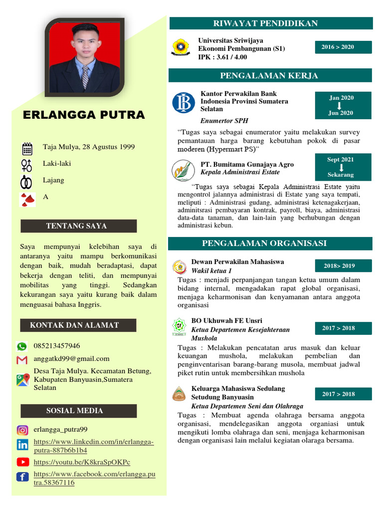Profil Profesional Erlangga Putra | PDF